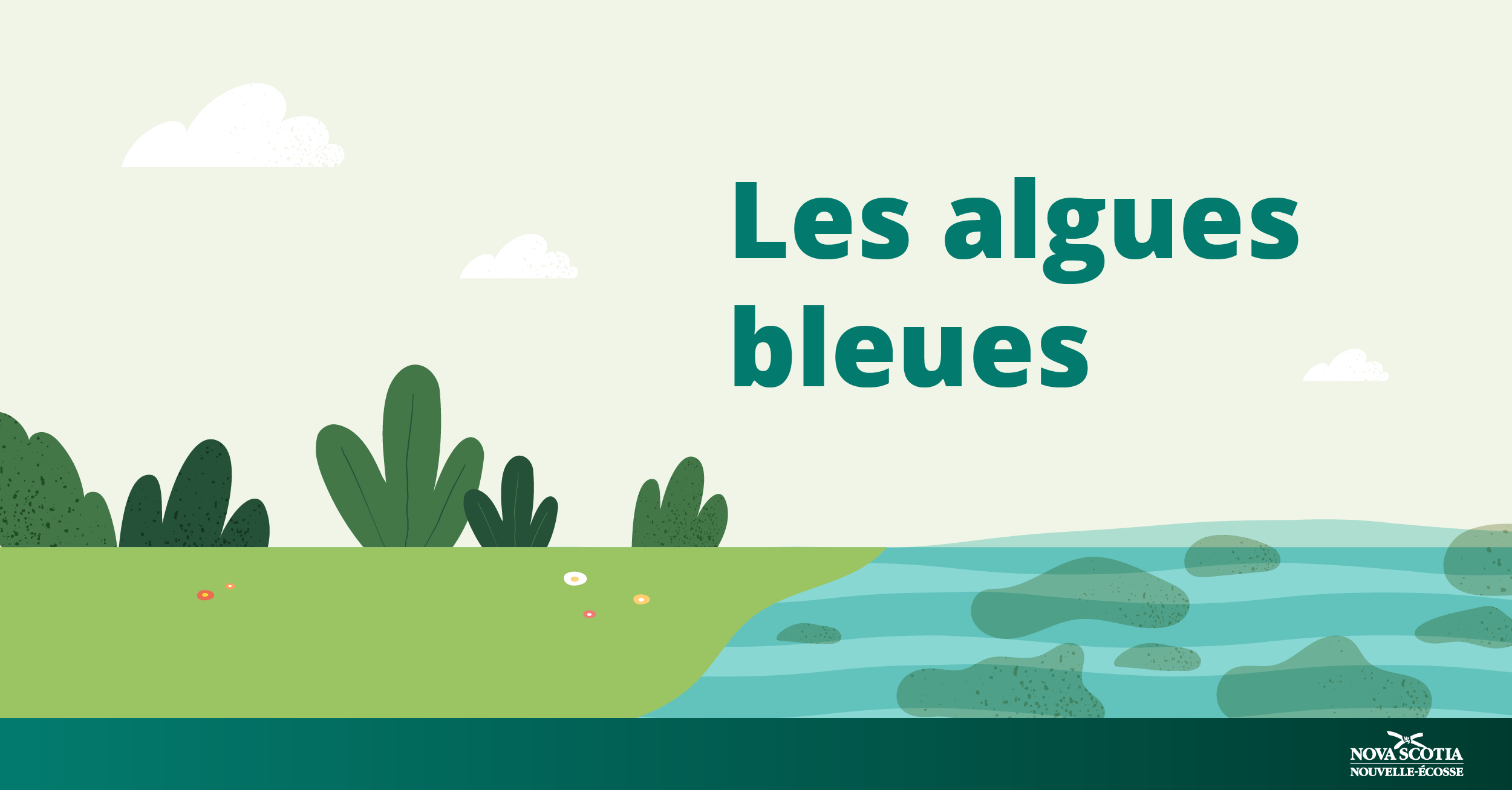 Les algues bleues - Province de la Nouvelle-Écosse, Canada